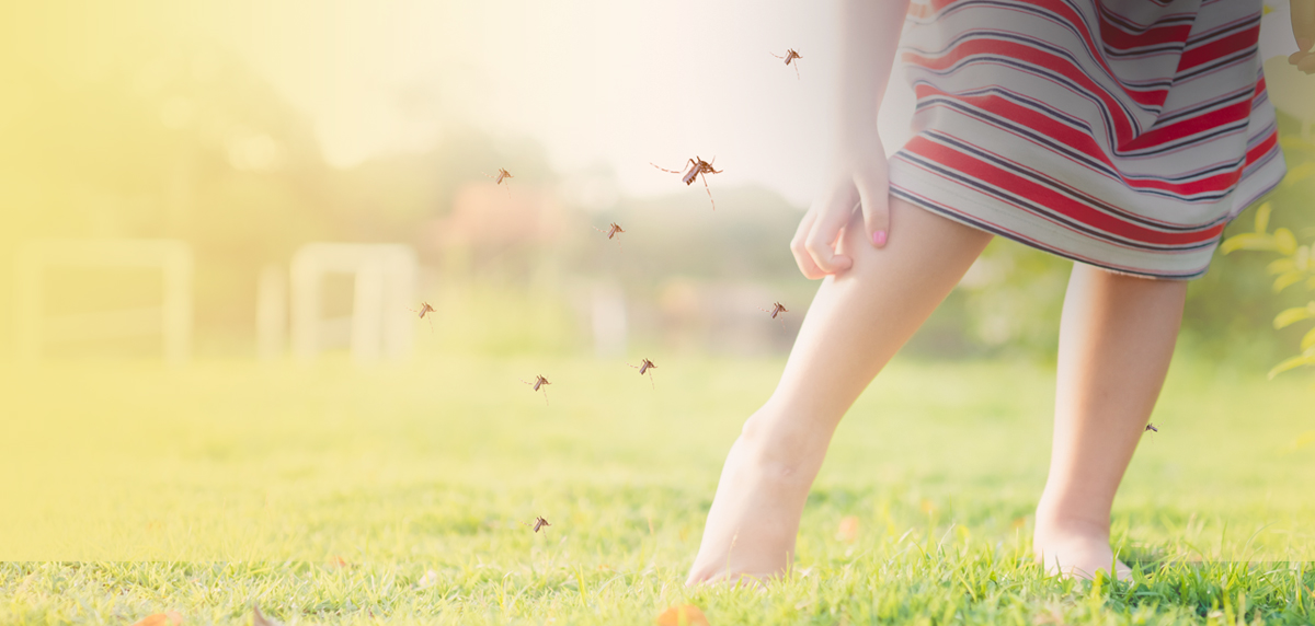 Dengue Prevention Tips To Keep Your Loved Ones Safe - AXA Philippines