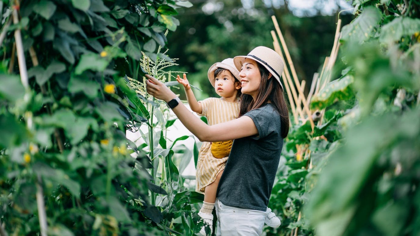 Let’s go green - Start your paperless journey | AXA Hong Kong