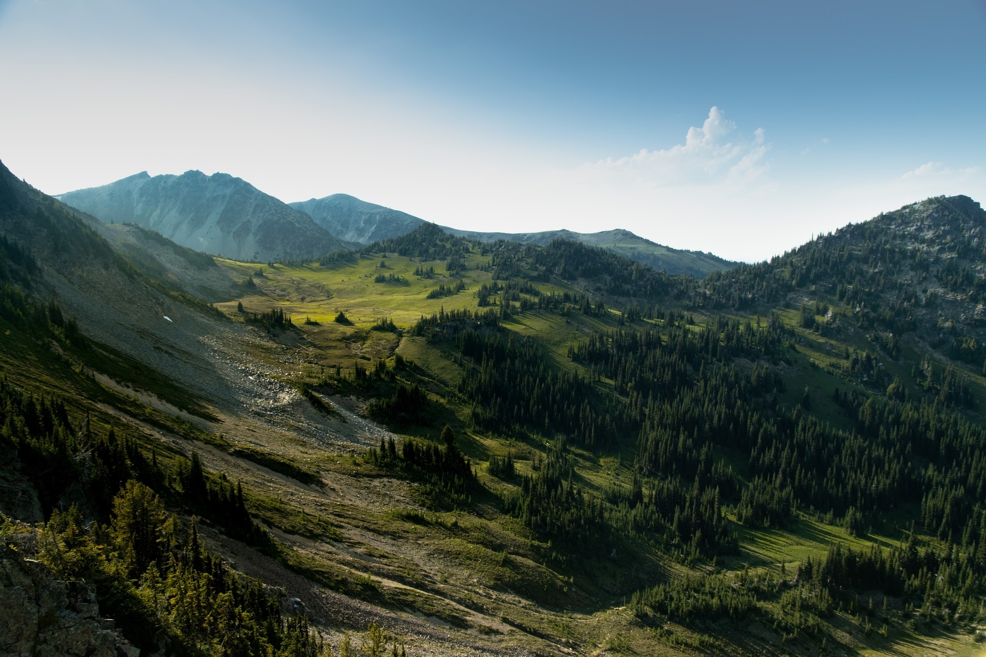 Climate Change and Biodiversity: the Essential Role of Mountain Forests ...