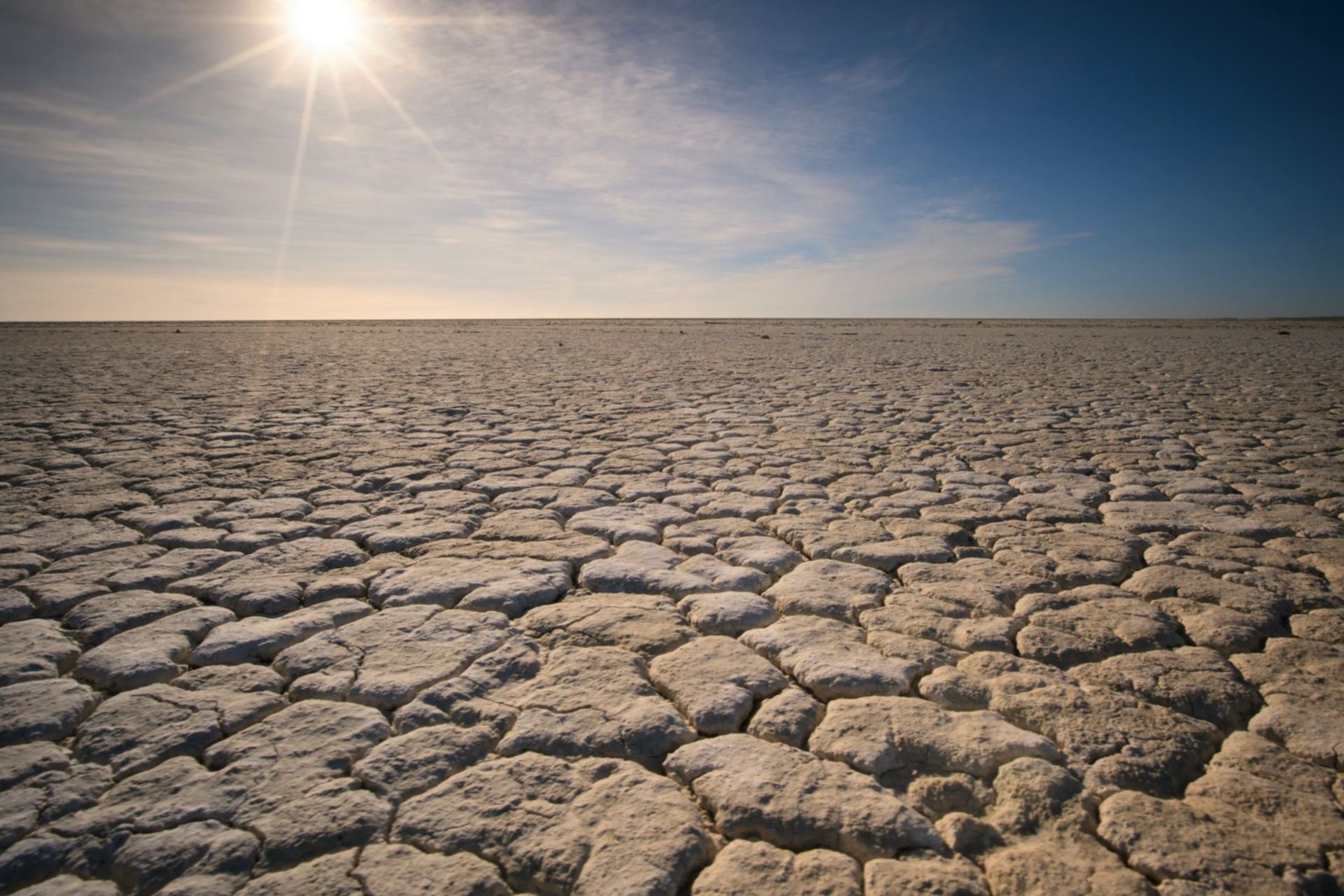 How to live in a dryer world? | AXA