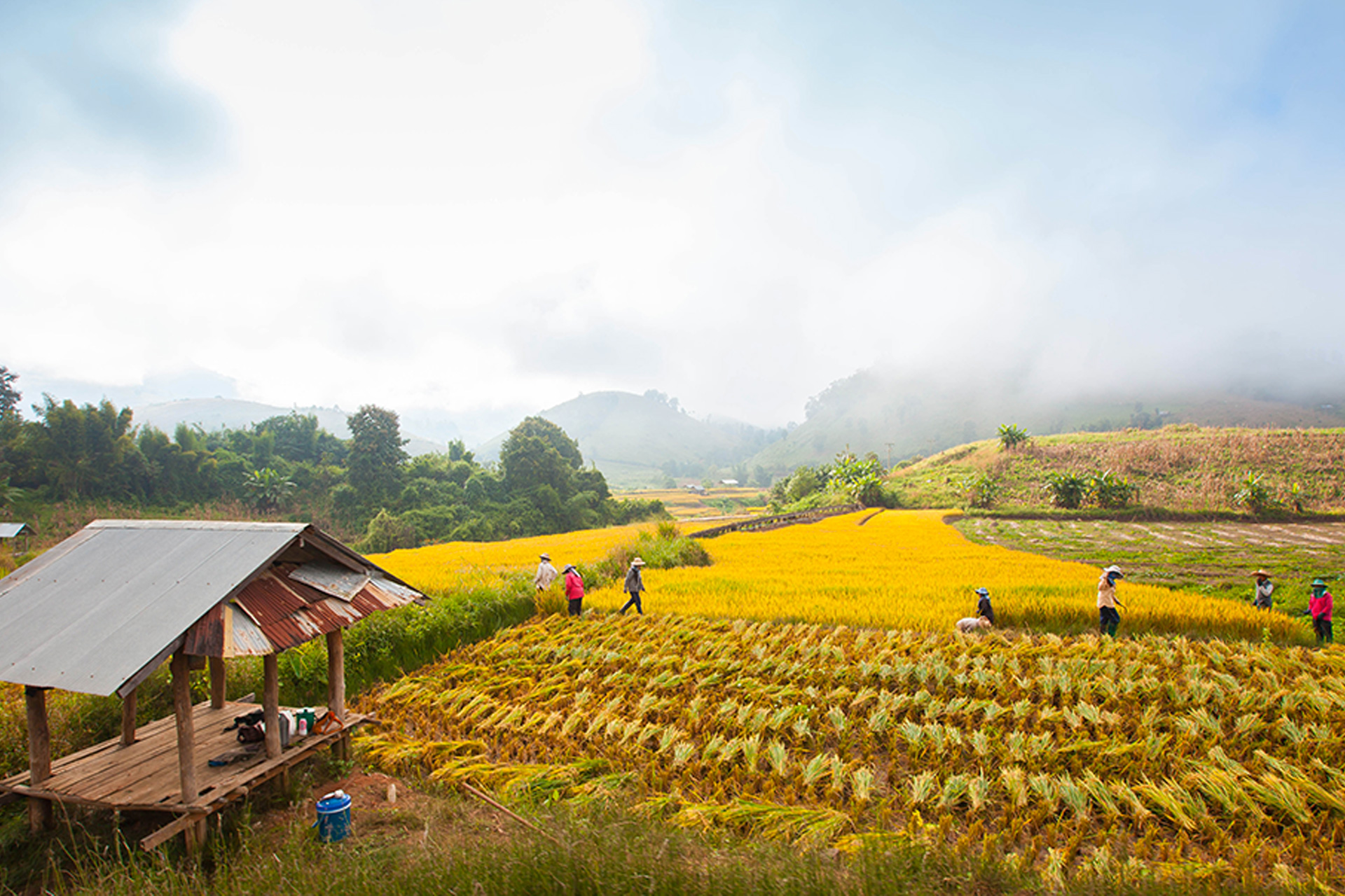 Reinforce our partnerships to fight climate change | AXA