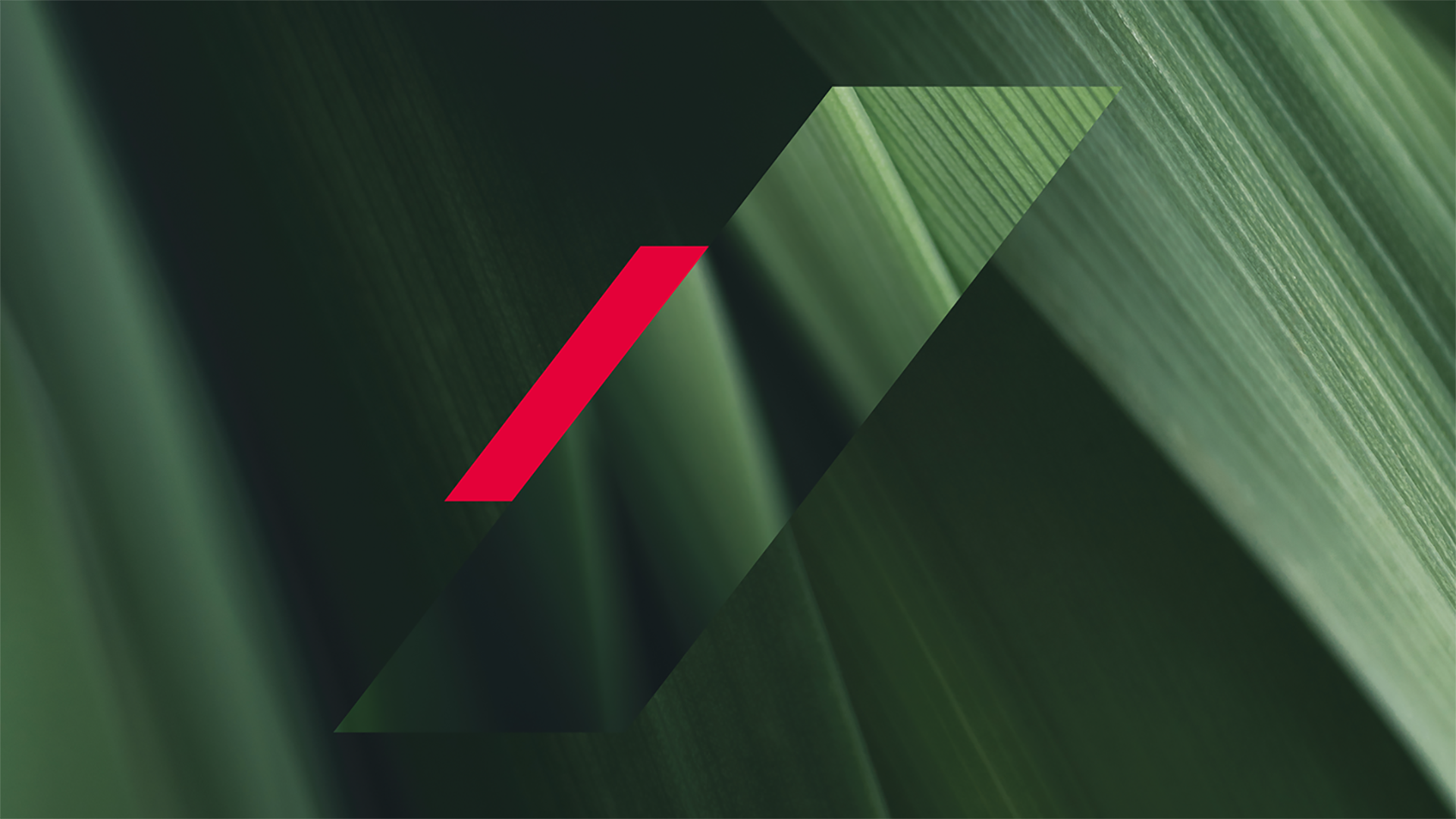 AXA and AWS Developing the First Global B2B Risk Management and ...