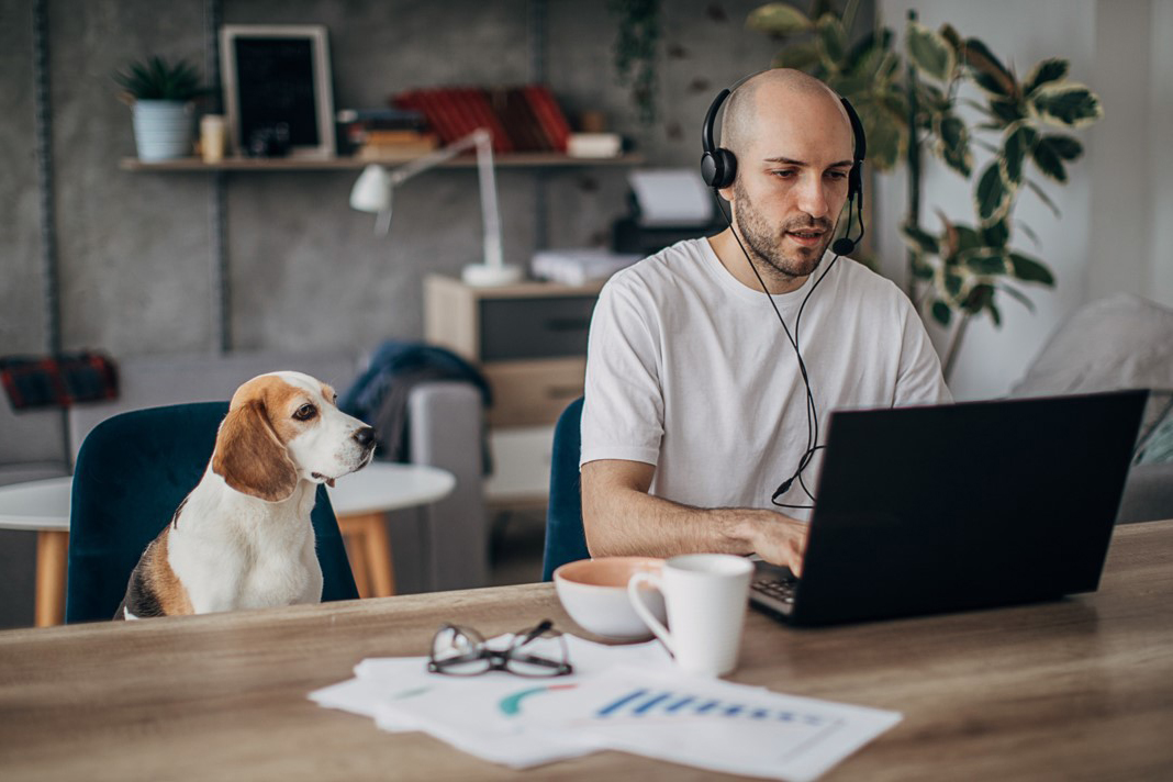 Profile and Key Figures | AXA