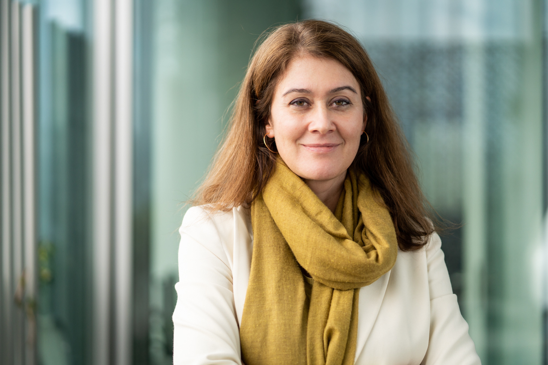 Healthanea: A new collaboration model for a new paradigm in access to ...