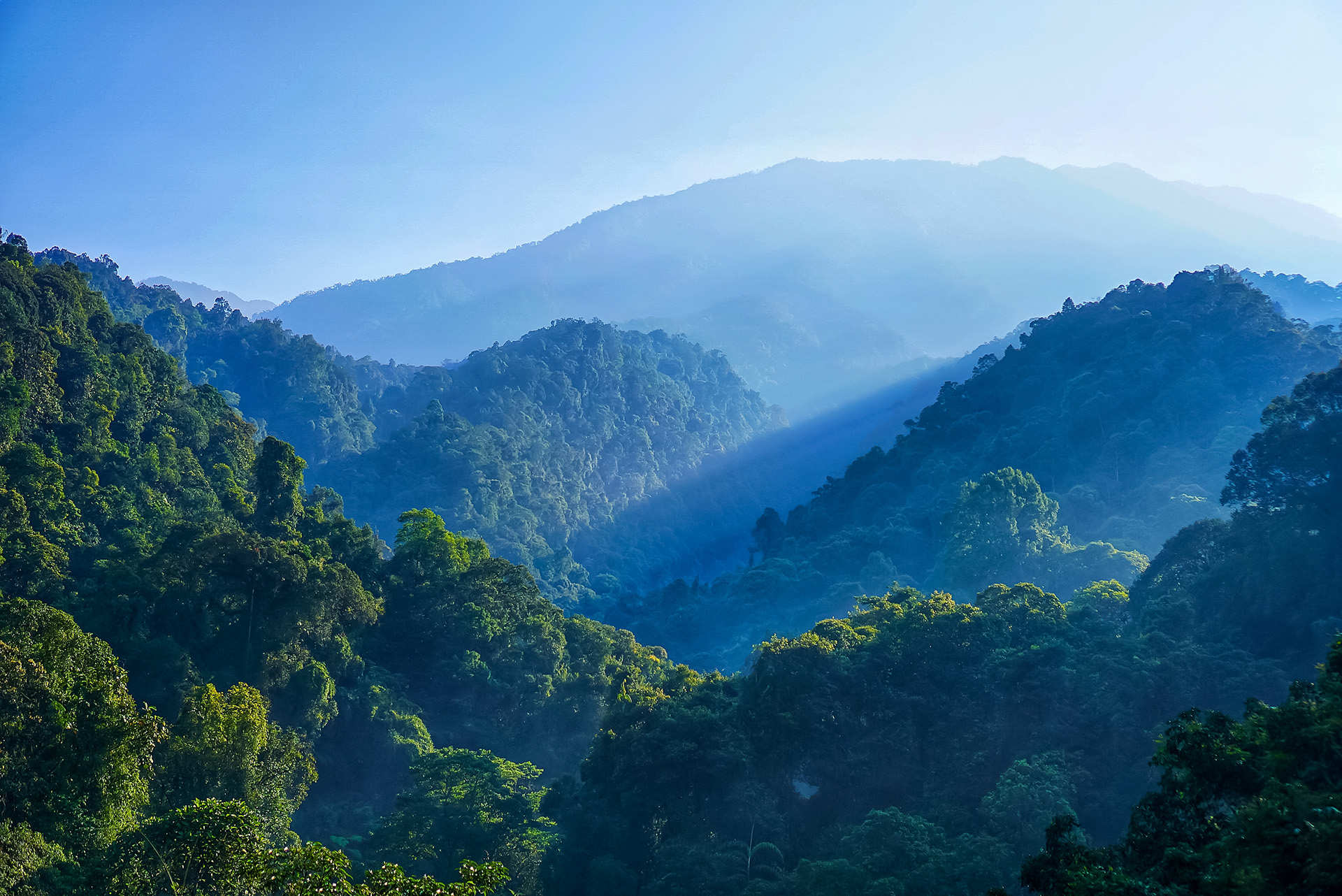 AXA's Integrated Report 2022 - Protection effect - Asset management | AXA