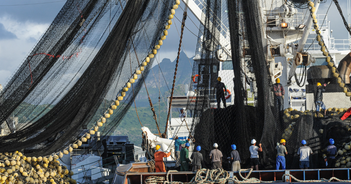 Plenty more fish in the sea? How the insurance industry can help put an ...